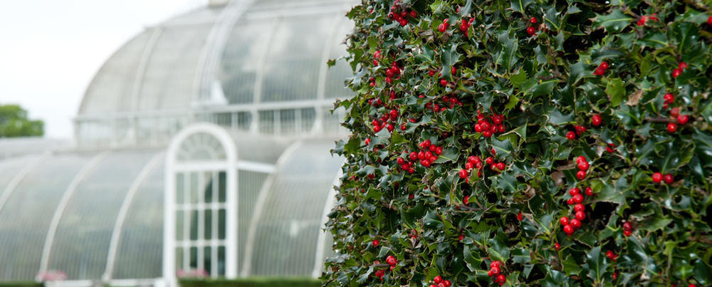 How to stay connected to nature in winter - Eco Kids Planet