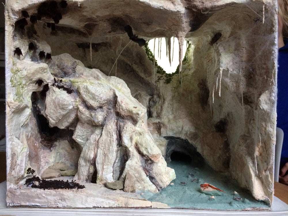 Monthly competition: Cave Diorama - Eco Kids Planet
