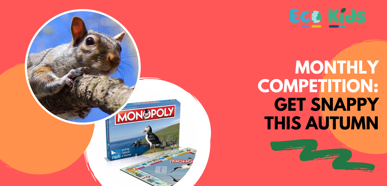 Get Snappy This Autumn: Winners Announced - Eco Kids Planet