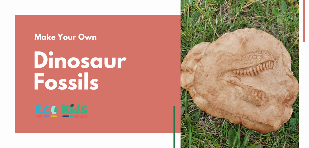 Make Your Own: Dinosaur Fossils - Eco Kids Planet