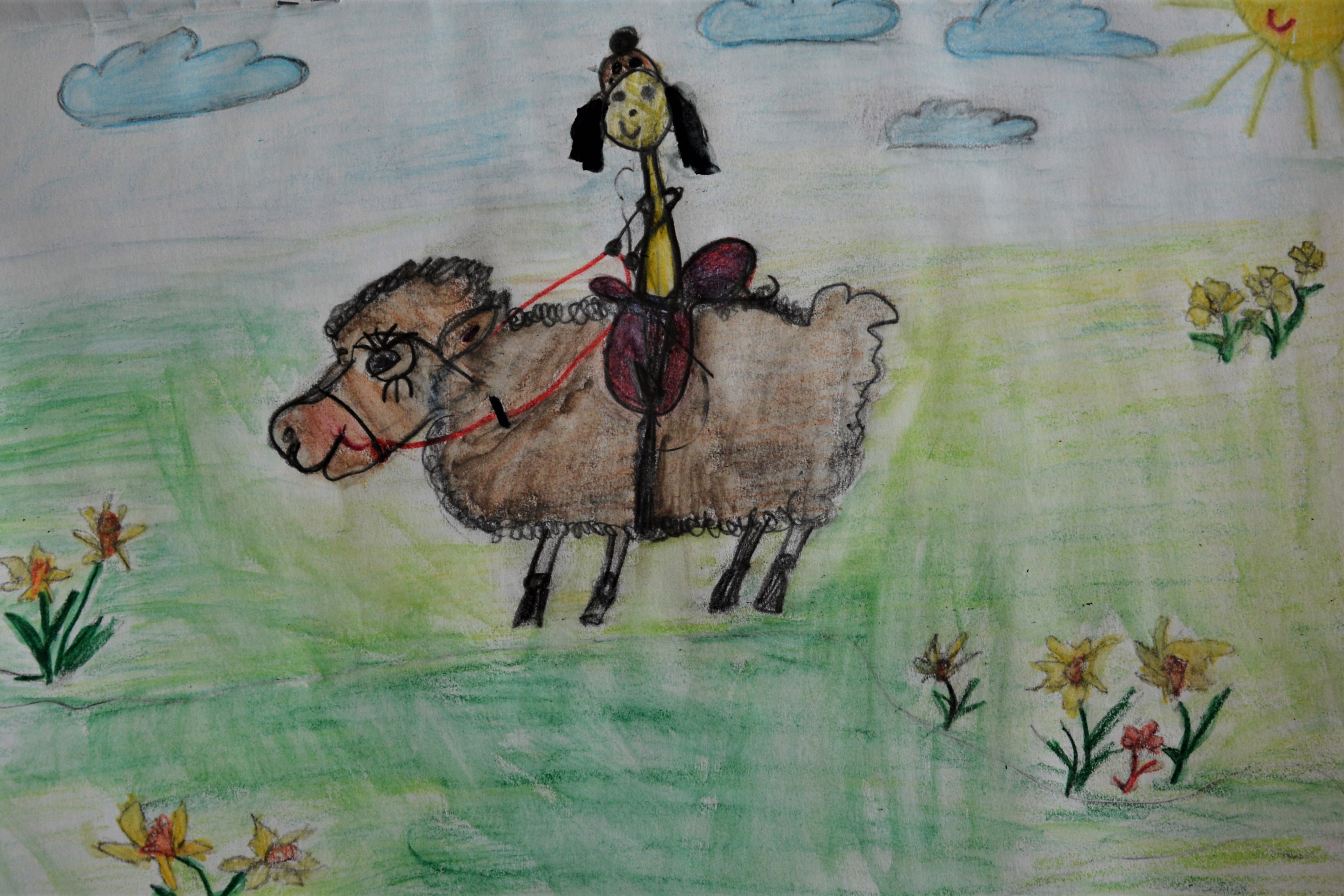 Monthly Competition: Extremely Special Sheep - Eco Kids Planet