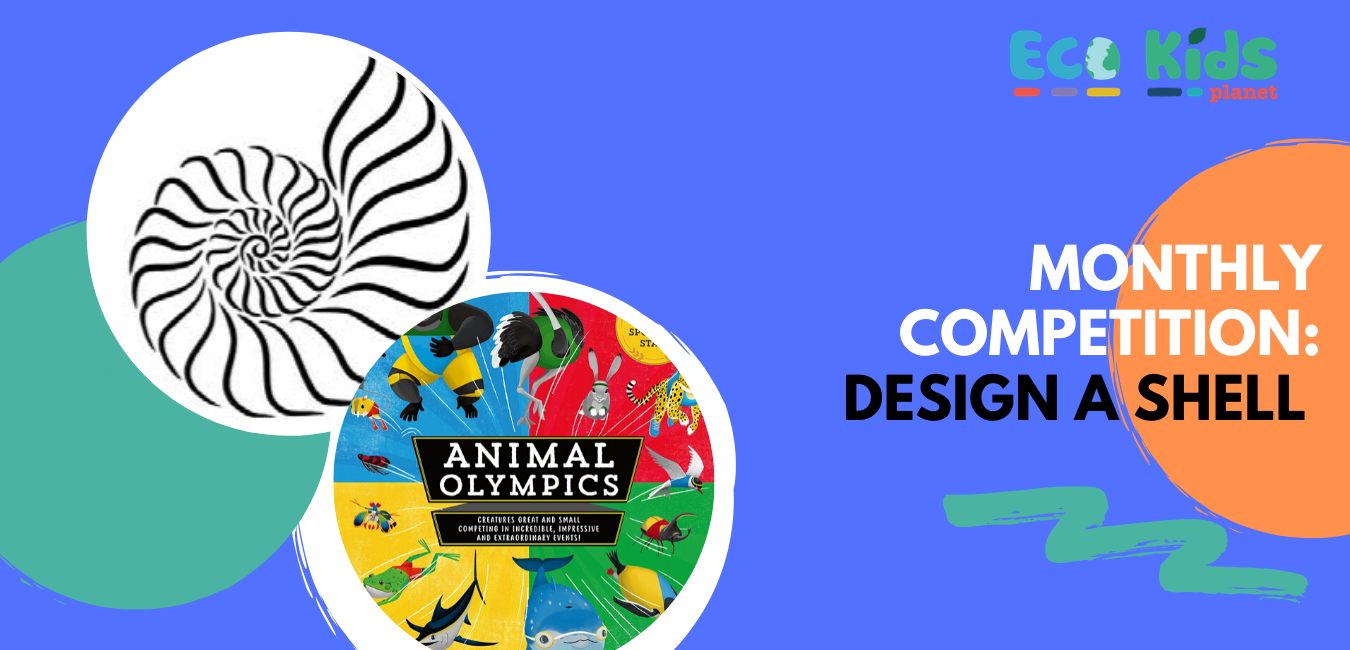 Monthly Competition: Design a Shell - Eco Kids Planet