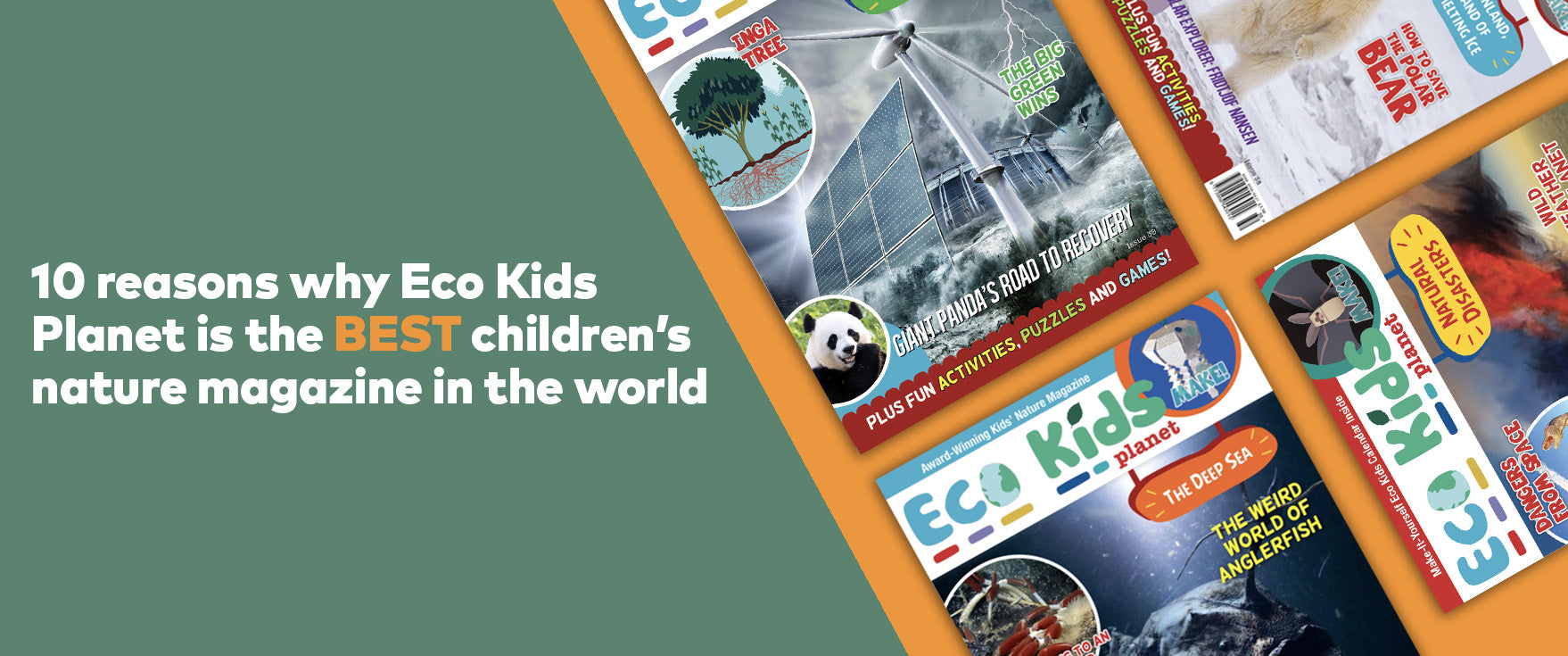 10 Reasons Why Eco Kids Planet is THE Best Children's Nature Magazine