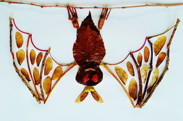 Autumn Nature Craft Competition Winners - Eco Kids Planet
