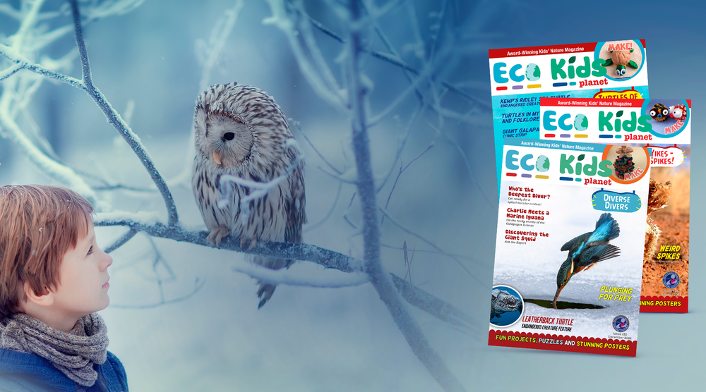Kids Nature Magazines in UK - Eco Kids Planet