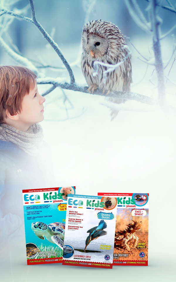 Kids Nature Magazines in UK - Eco Kids Planet