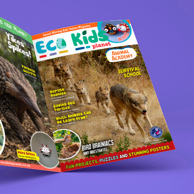 Kids Nature Magazines in UK - Eco Kids Planet