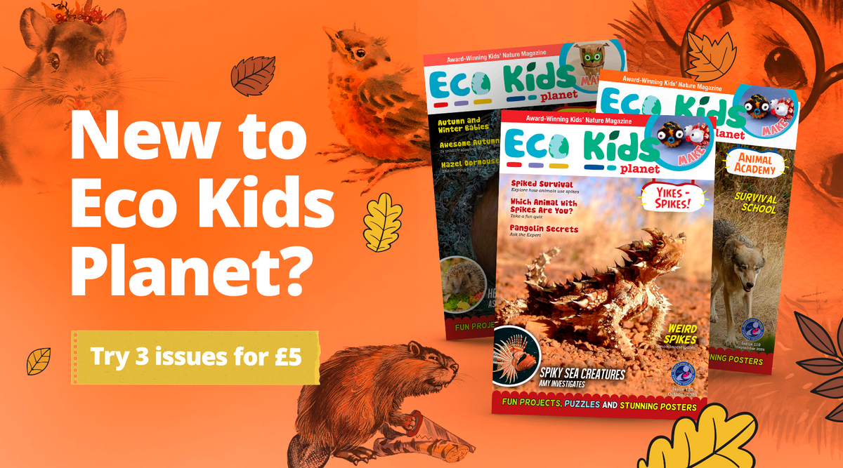 Kids Nature Magazines in UK - Eco Kids Planet