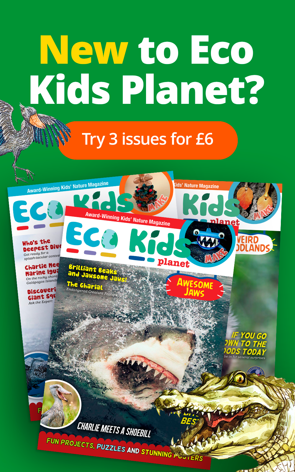 Kids Nature Magazines in UK - Eco Kids Planet