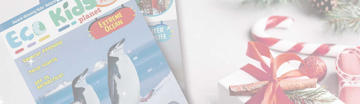 Kids Nature Magazines in UK - Eco Kids Planet