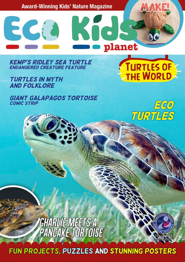 Kid's Nature Magazines – Issue 104 - Turtles of the World - Eco Kids Planet
