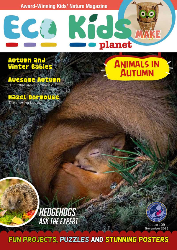 Kid's Nature Magazines – Issue 109 – Animals in Autumn! - Eco Kids Planet