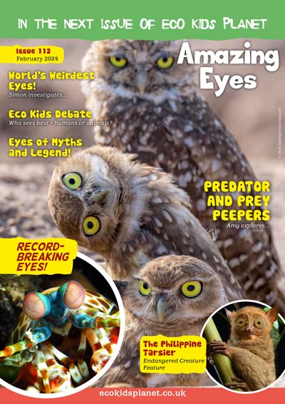 Kid's Nature Magazines – Issue 111 – Tree Dwellers - Eco Kids Planet