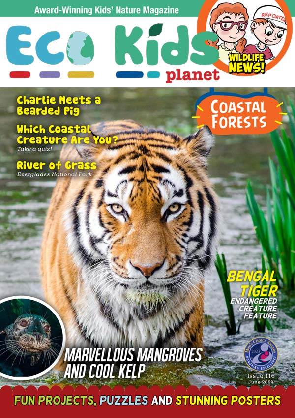 Magazine Subscription for Kids | Eco Kids Planet