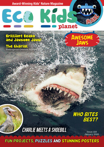 Magazine Subscription for Kids | Eco Kids Planet