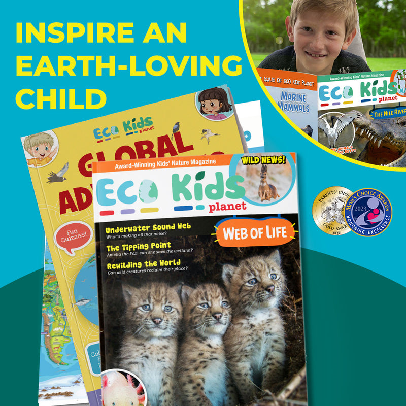 Kids Nature Magazines in UK - Eco Kids Planet
