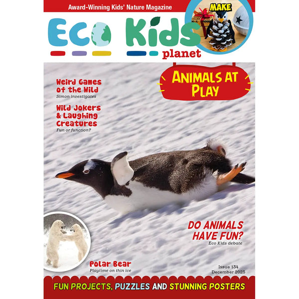 Kid's Nature Magazines – Issue 134 – Animals at Play - Eco Kids Planet