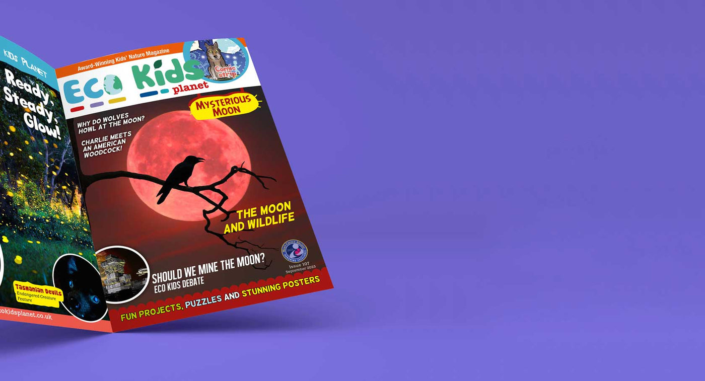 Kids Nature Magazines in UK - Eco Kids Planet