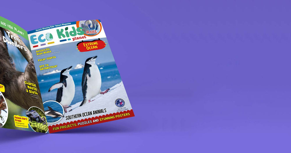 Kids Nature Magazines in UK - Eco Kids Planet