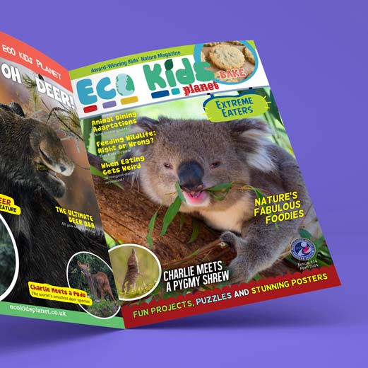 Kids Nature Magazines in UK - Eco Kids Planet
