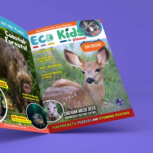 Kids Nature Magazines in UK - Eco Kids Planet