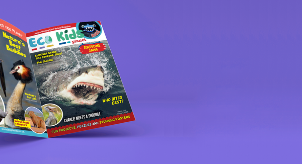 Kids Nature Magazines in UK - Eco Kids Planet