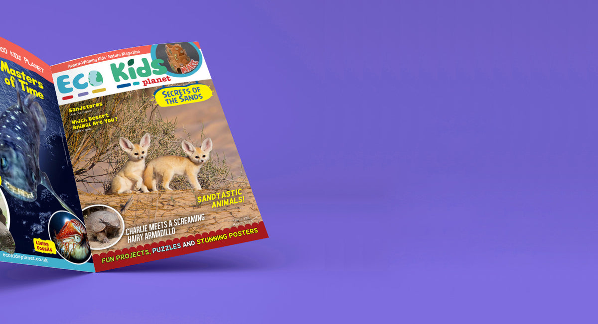 Kids Nature Magazines in UK - Eco Kids Planet