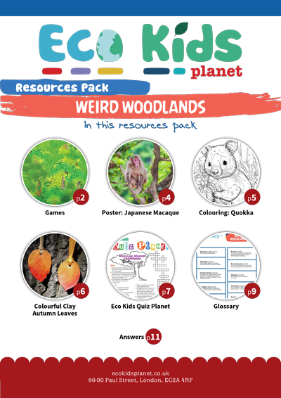 Free Resources - Eco Kids Planet