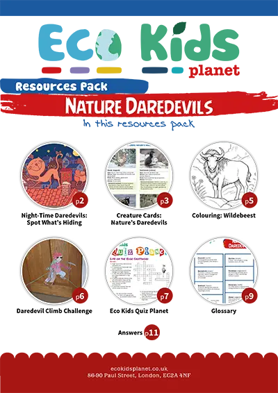 Free Resources - Eco Kids Planet