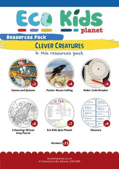 Free Resources - Eco Kids Planet