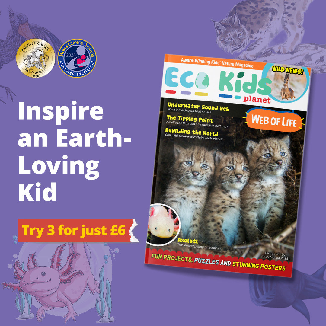 Kids Nature Magazines in UK - Eco Kids Planet
