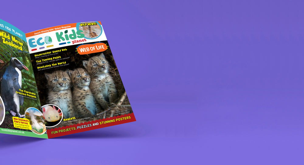 Kids Nature Magazines in UK - Eco Kids Planet