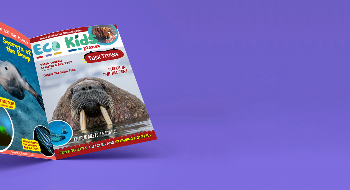 Kids Nature Magazines in UK - Eco Kids Planet