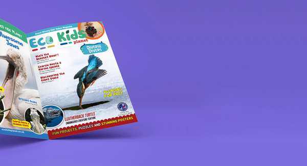 Kids Nature Magazines in UK - Eco Kids Planet