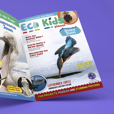 Kids Nature Magazines in UK - Eco Kids Planet