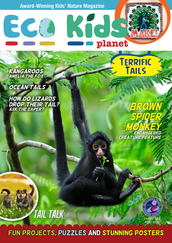 Kid's Nature Magazines – Issue 102 - Terrific Tails - Eco Kids Planet