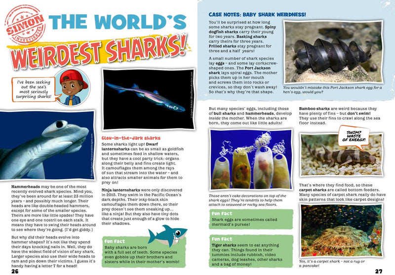 Kid's Nature Magazines – Issue 68 – Sensational Sharks - Eco Kids Planet