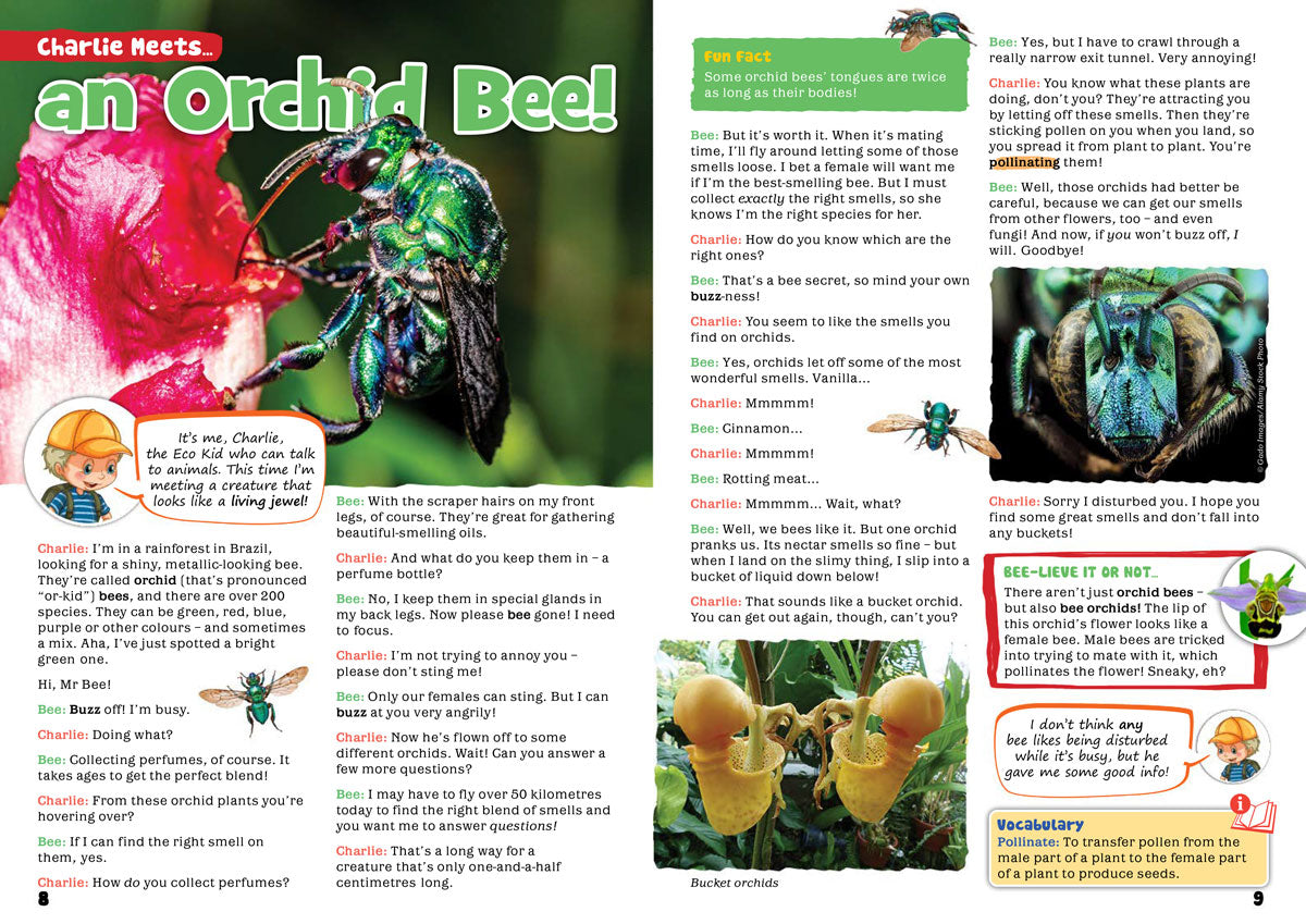 Kid's Nature Magazines – Issue 78 – Winged Insects - Eco Kids Planet