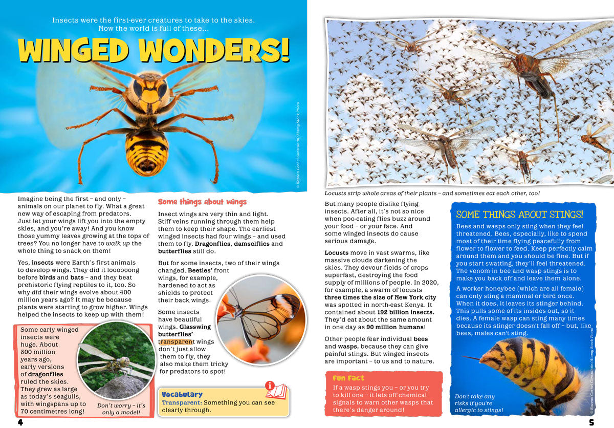 Kid's Nature Magazines – Issue 78 – Winged Insects - Eco Kids Planet