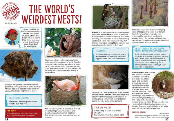 Kid's Nature Magazines – Issue 99 - Best Builders! - Eco Kids Planet