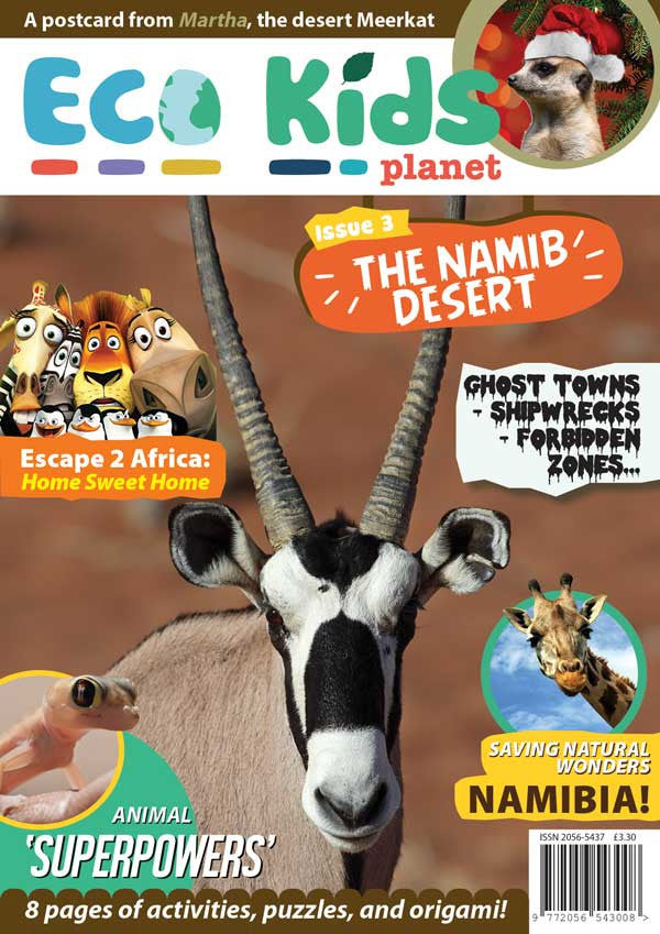 Kid's Nature Magazines - Issue 3 - The Namib Desert - Eco Kids Planet