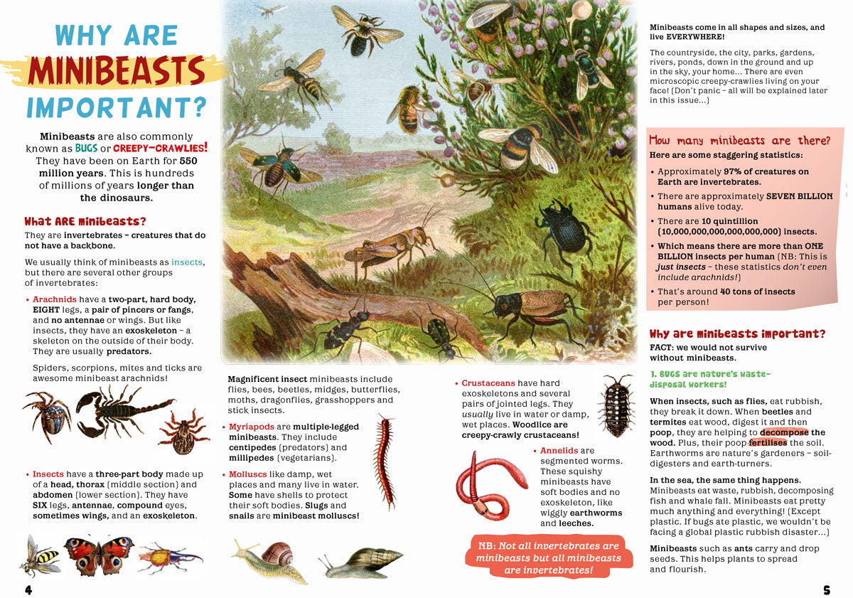 Kid's Nature Magazines - Issue 48 - Magnificent Minibeasts - Eco Kids ...