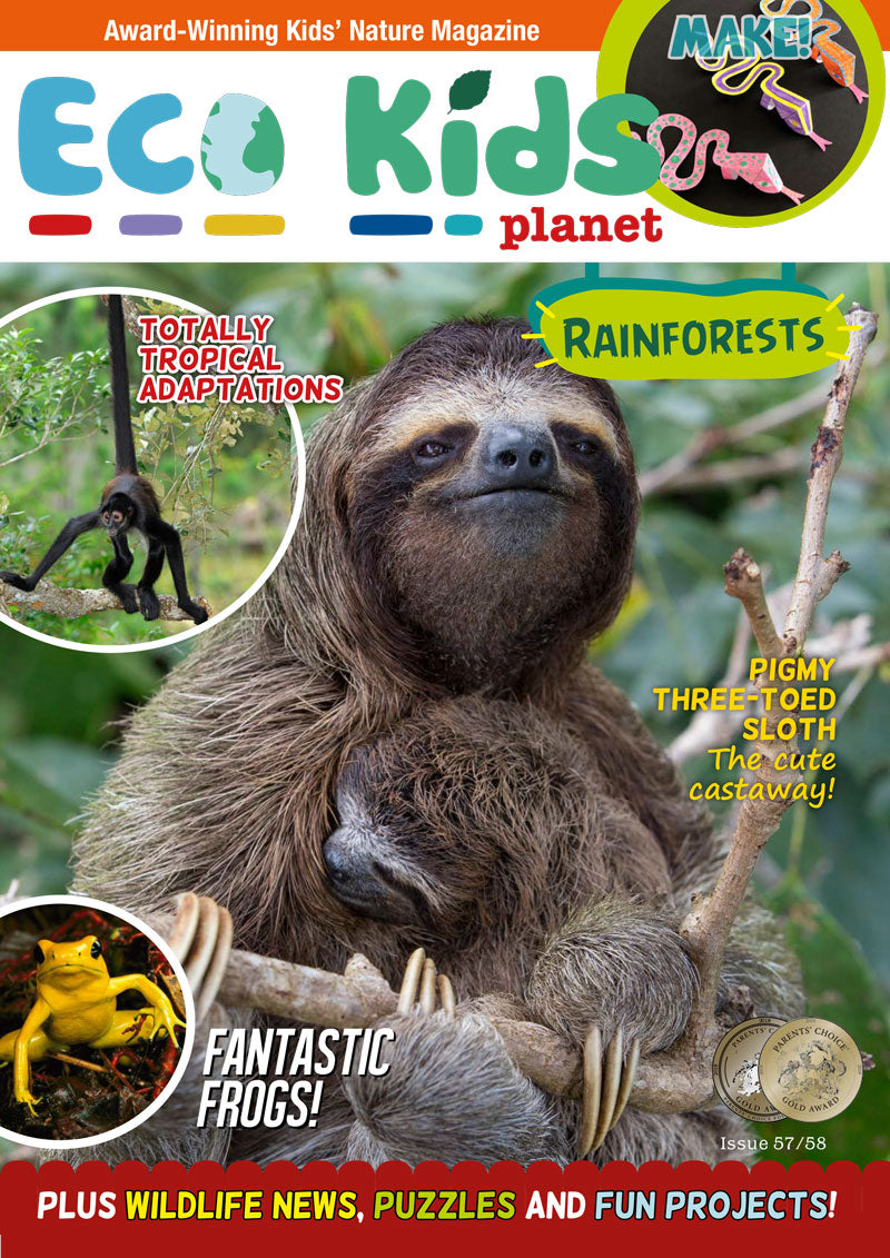 Kid's Nature Magazines - Issue 57/58 - Rainforests - Eco Kids Planet