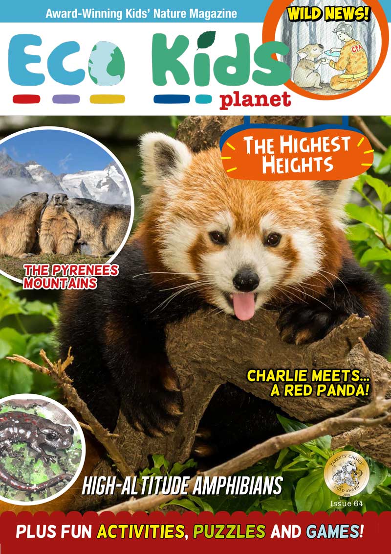 Kid's Nature Magazines – Issue 64 – The Highest Heights - Eco Kids Planet
