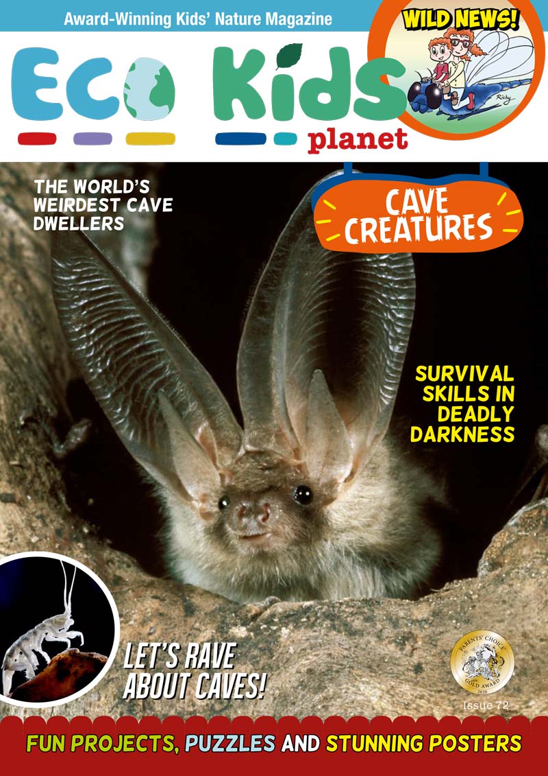 Kid's Nature Magazines – Issue 72 – Cave Creatures - Eco Kids Planet