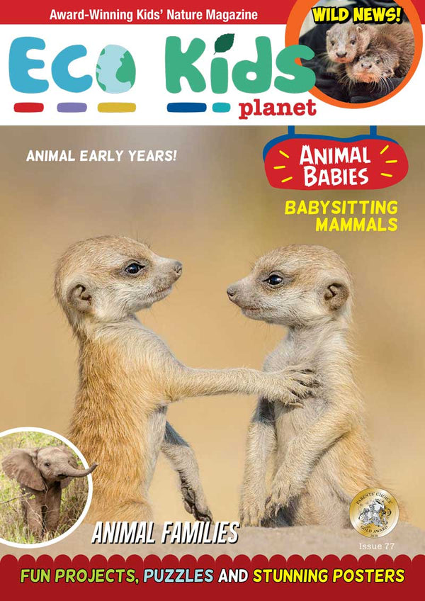Kid's Nature Magazines – Issue 77 – Animal Babies - Eco Kids Planet