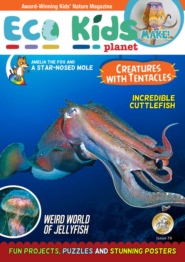Kid's Nature Magazines – Issue 79 – Creatures with Tentacles - Eco Kids ...