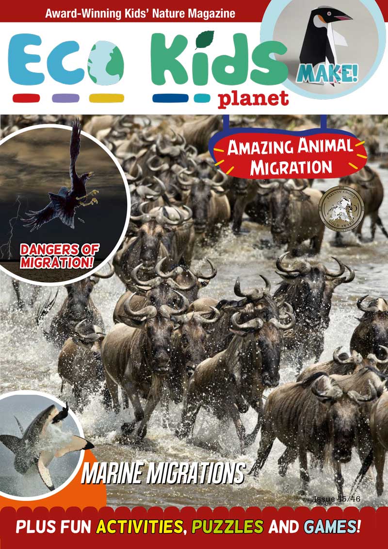 Kid's Nature Magazines - Issue 45/46 - Amazing Animal Migration - Eco ...