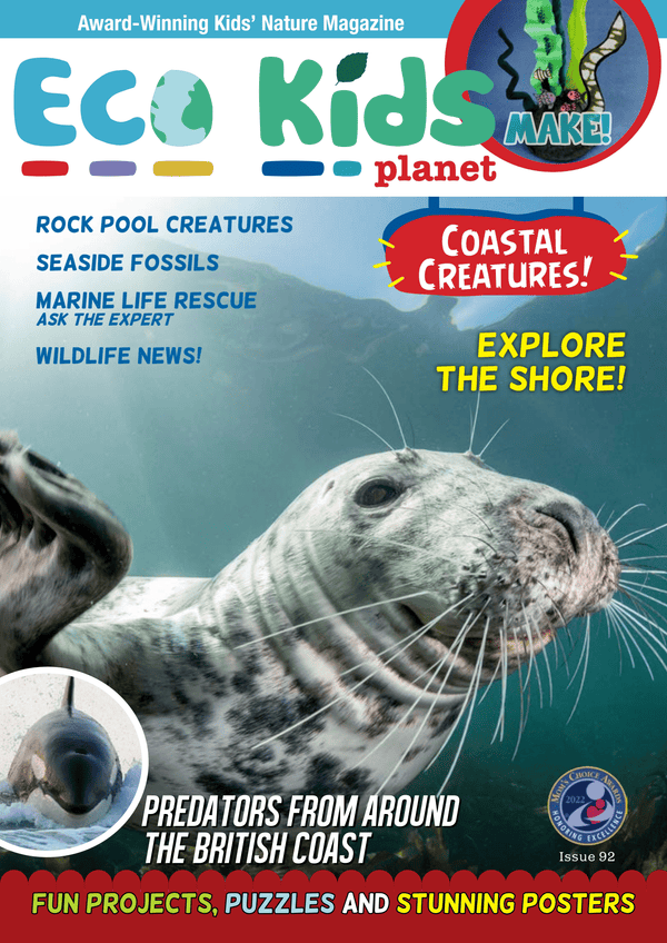 Kid's Nature Magazines – Issue 92 - Coastal Creatures - Eco Kids Planet